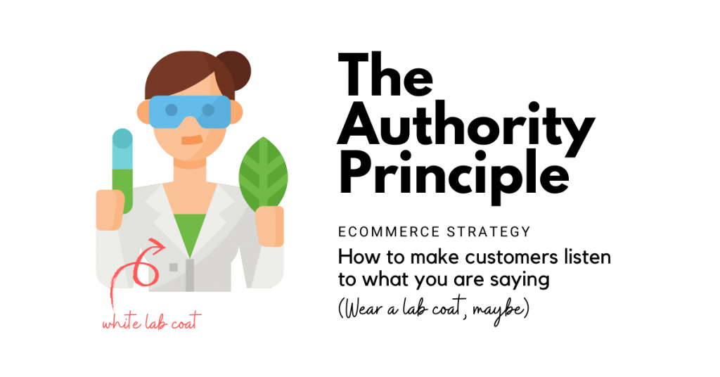 eCommerce Strategy: How to Position Your Brand as an Authority