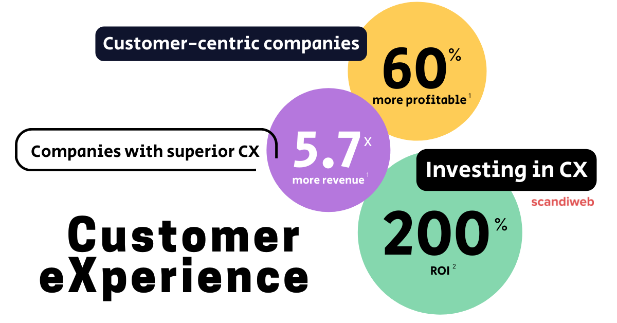 eCommerce Customer Experience Audit Explained
