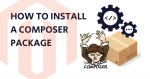 How to Install and Update a PHP Composer Package?
