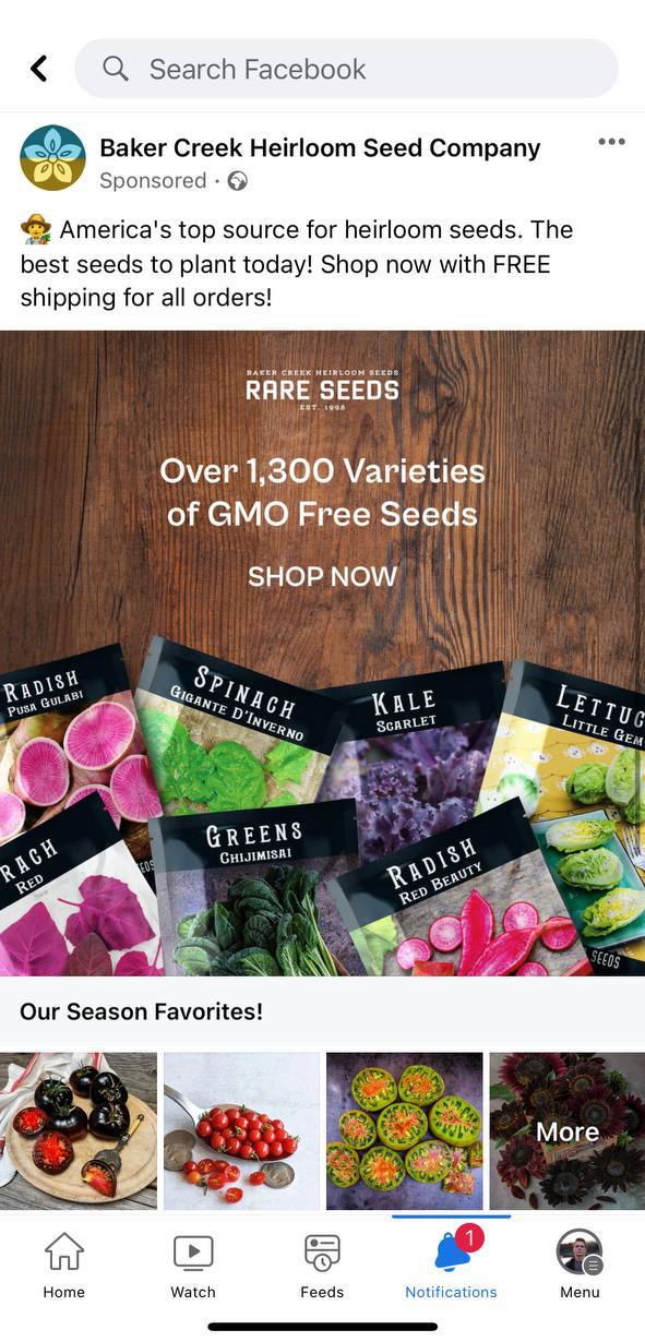 +62% ROAS with Meta Collection Ads in eCommerce | PPC Case Study