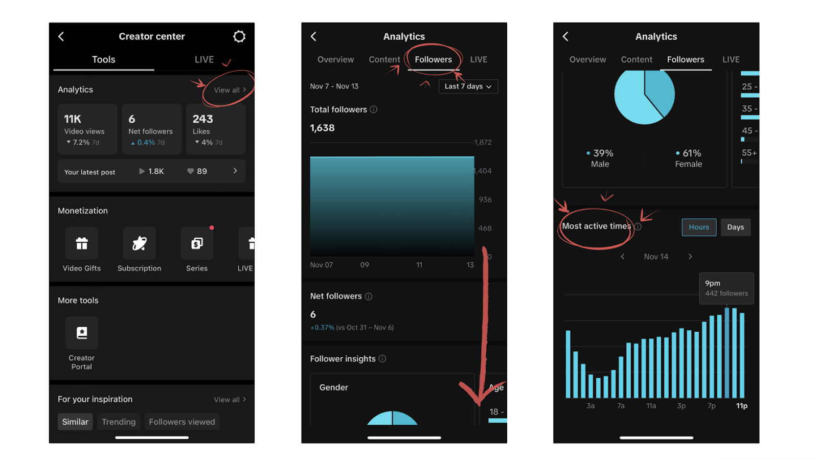 How to Go Viral on Tiktok: A Step-by-Step Guide - scandiweb